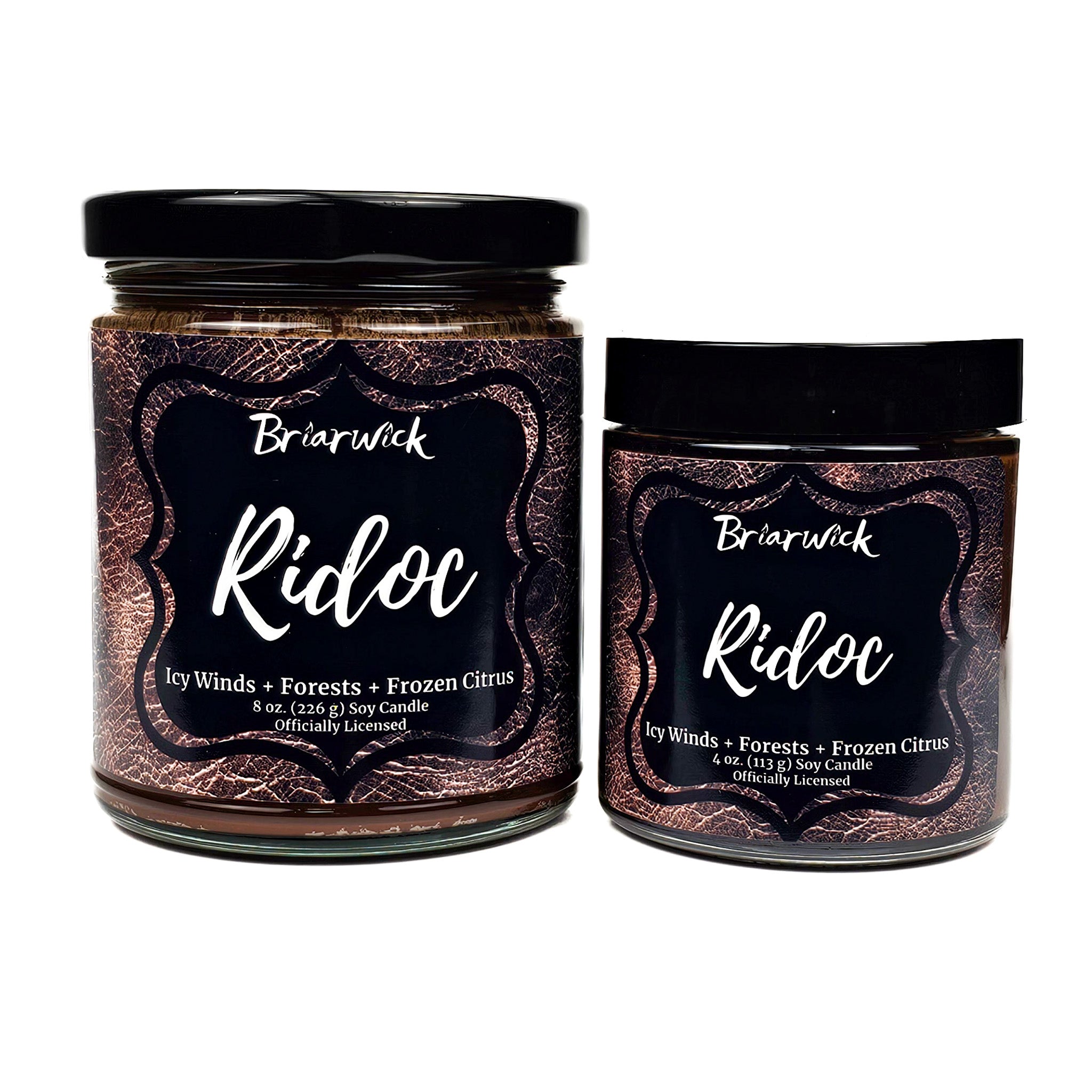 Ridoc Gamlyn- Fourth Wing Officially Licensed Candle – Briarwick